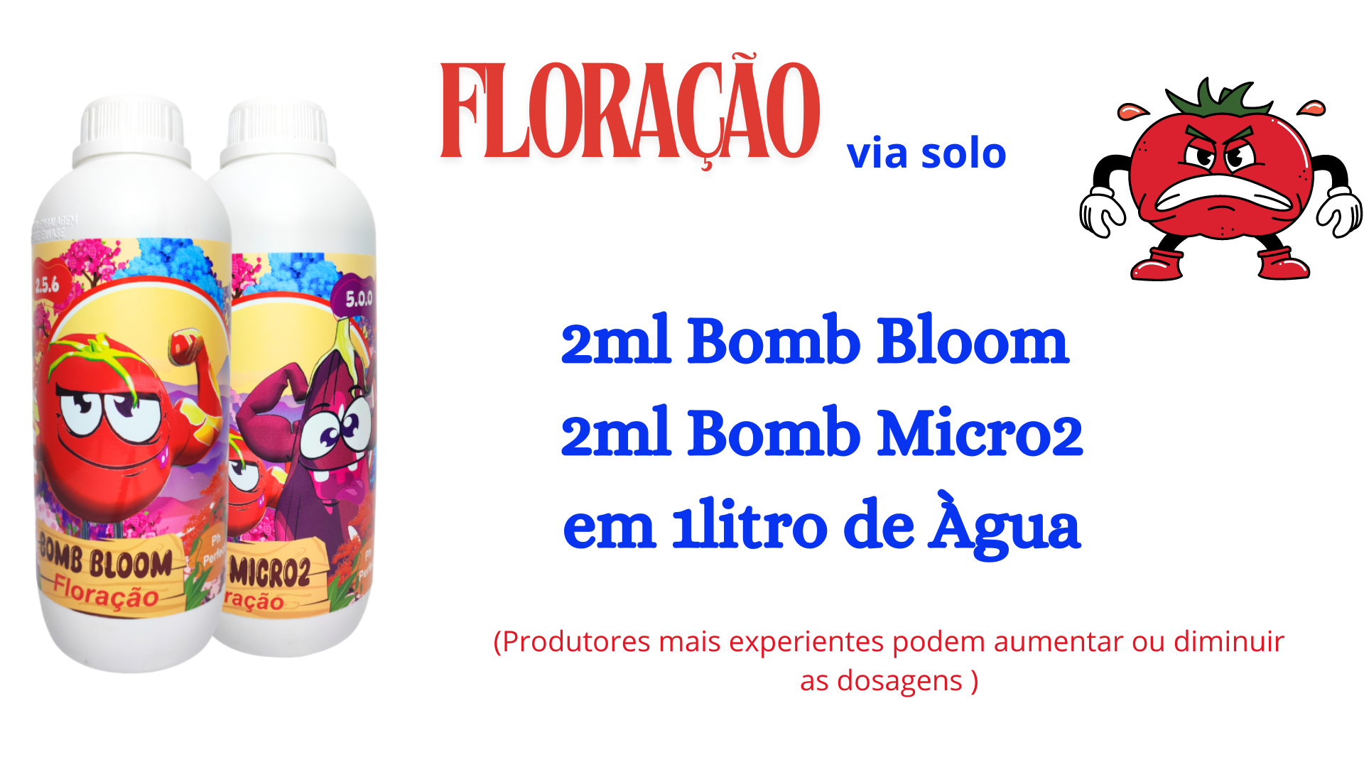 Linha: BOMB FRUIT – informações BOMB FRUIT