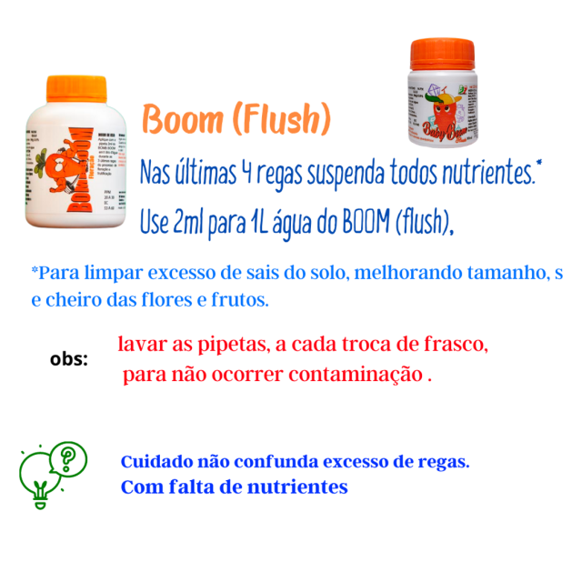 Linha: BOMB FRUIT e Baby Fruit – informações BOMB FRUIT