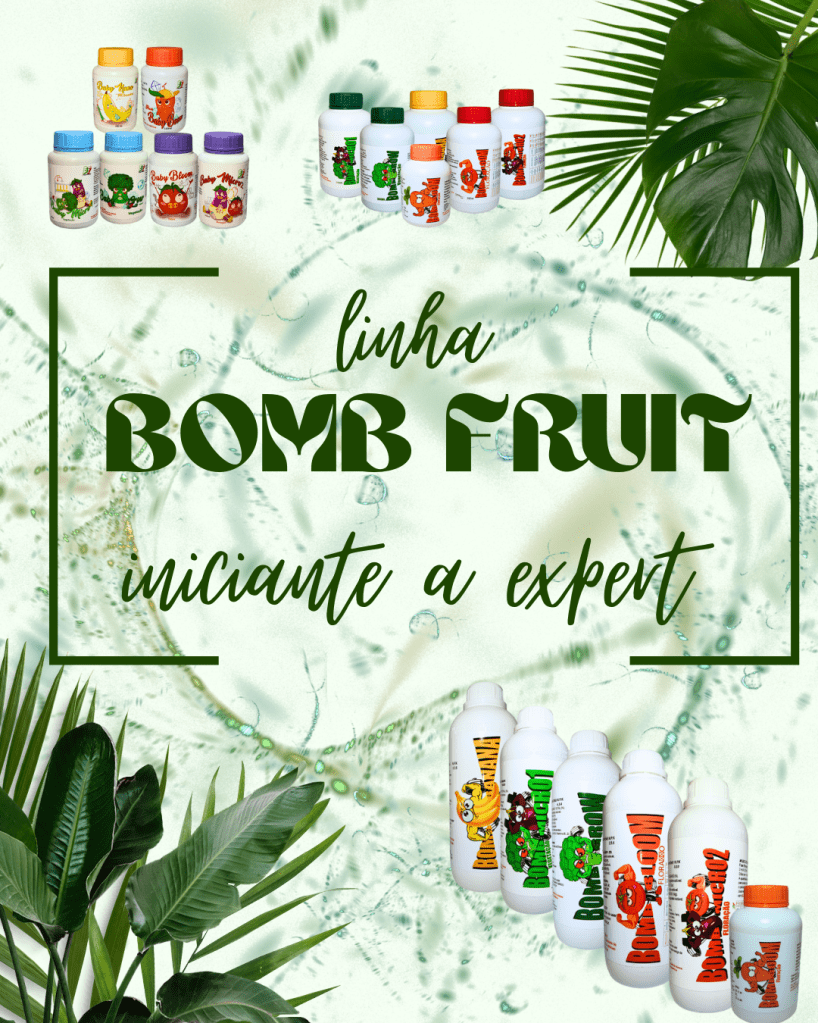 Linha: BOMB FRUIT e Baby Fruit – informações BOMB FRUIT